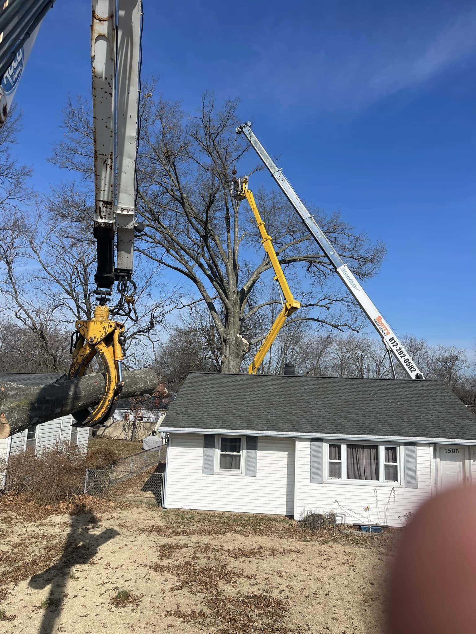 Gallery - S&S TreeMasters, Inc.